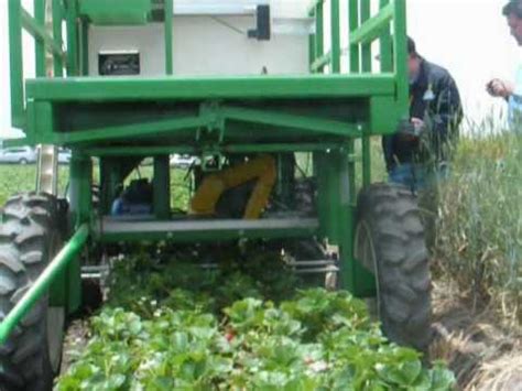 Strawberry Harvesting Equipment