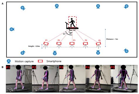 Improving Gait Analysis Techniques With Markerless Pose Estimation