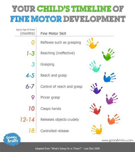 What Does Fine Motor Skills Mean In Cal Terms