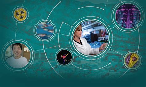 Eric W Schmidt Phd Discovery And Innovation At University Of Utah Health