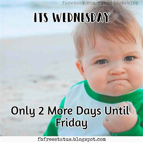 Funny Wednesday Quotes And Memes To Boost Your Mood
