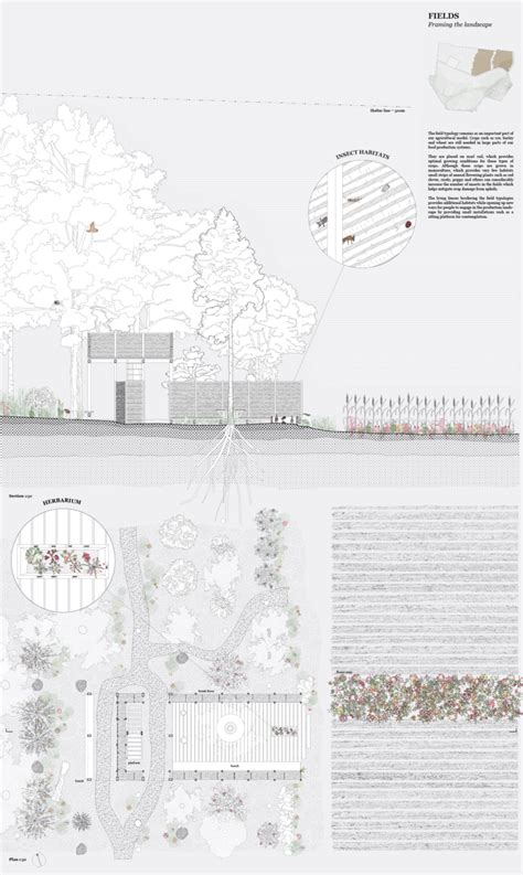 The Field Typology Architecture Presentation Architecture Collage