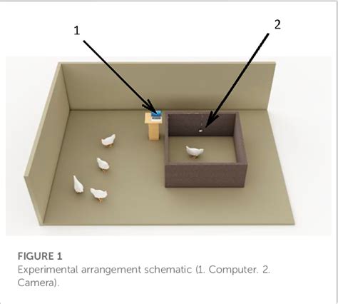 Figure 1 From The Estimation Of Broiler Respiration Rate Based On The