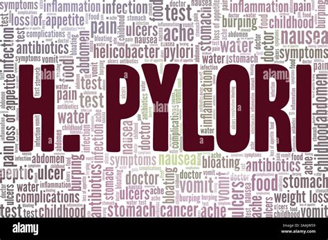 Helicobacter Pylori H Pylori Conceptual Vector Illustration Word