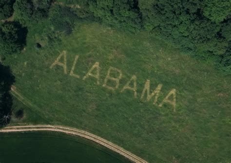 Adèle Castillon Alabama Skunati