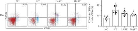 A Flow Cytometric Sorting Of Cd11c And Cd86 Cells In Lymph Nodes