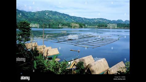 Dito Mo Makikita Ang View Ng Ilog Sa Mindanoa Youtube