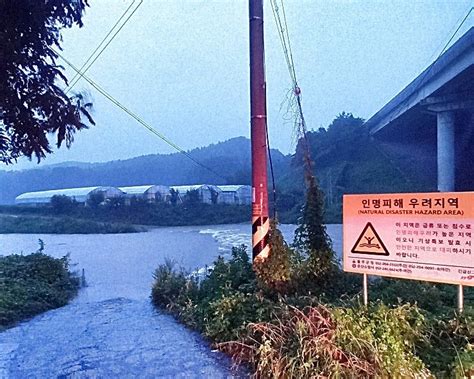 하천 건너던 60대 실종 울산서 신고…소방당국 수색 나서 나무뉴스