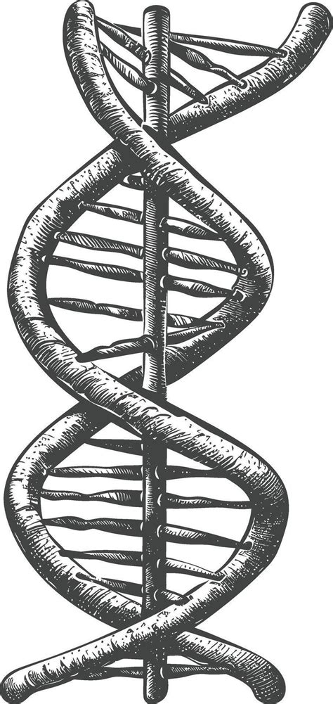 Gene Dna Mutation Symbol With Engraving Style Black Color Only 46012138 Vector Art At Vecteezy
