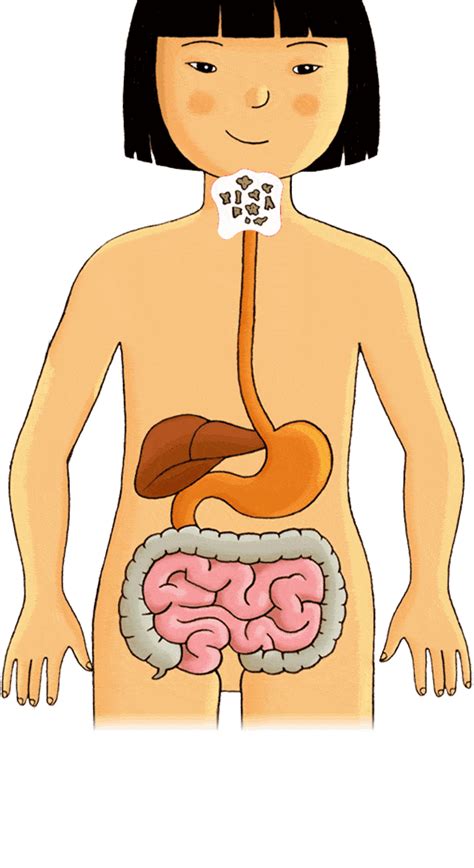肠道是人体最大免疫器官，三招帮你守护它的健康 搜狐大视野 搜狐新闻