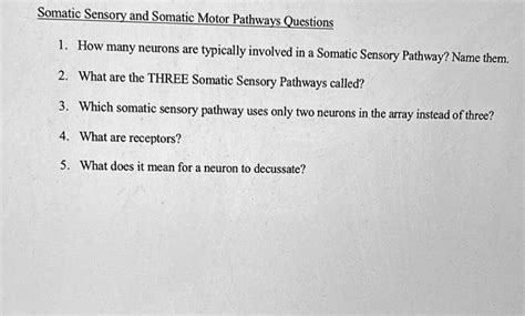 somatic sensory and somatic motor pathways questions 1how many neurons