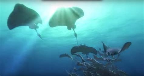 The Best Throwback Finding Dory Trailer Moments Will Remind You That