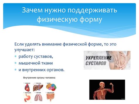 Физическая форма - презентация онлайн