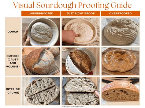 Why Is My Sourdough Bread Gummy 7 Causes And How To Fix Them Living