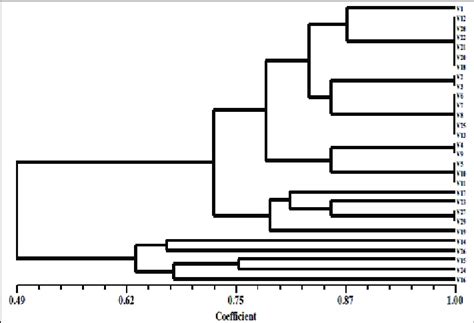 Dendrogram Depicting The Classification Of 29 Urdbean Genotypes In Download Scientific Diagram