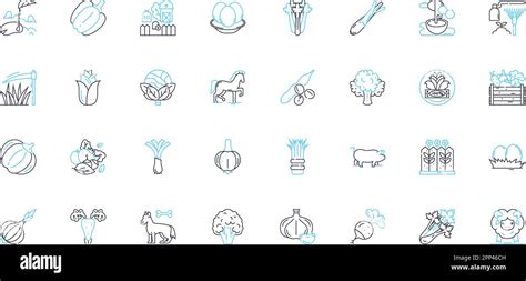 Cultivation Field Linear Icons Set Harvesting Irrigation