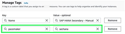 tagging the ec2 instances required only for sles sap hana on amazon