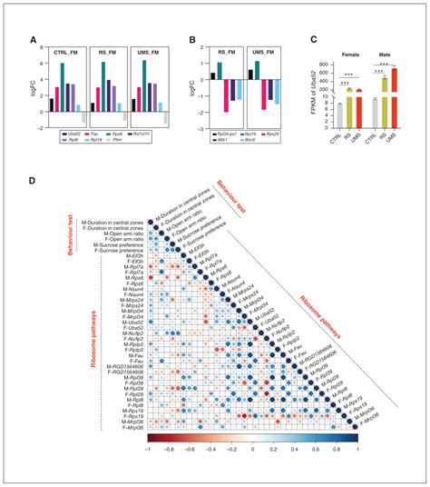 Sex Specific Transcriptional Signatures In The Medial Prefrontal Cortex Underlying Sexually