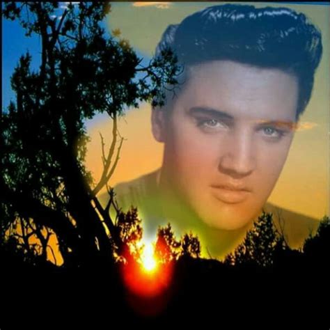 Pin By Tammy Hosey On Elvis Presley Elvis Presley Elvis