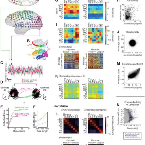 cross embedding analysis of complex network dynamics based on