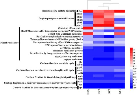 The Absolute Abundance Of Organophosphate Solubilization And Metal Download Scientific Diagram