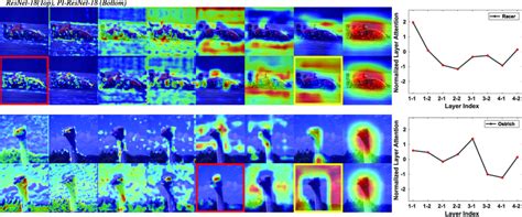Grad Cam Visualizations On Intermediate Layers Of R18pi18 Left And