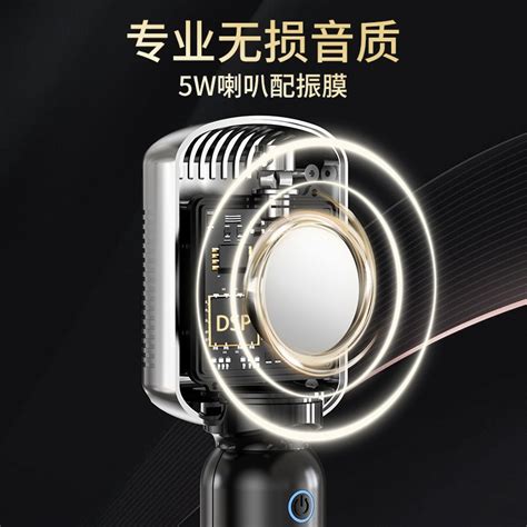 Bluetooth Microphone For Singing Best Bluetooth Microphone Adults Toys For Adults Babes And Girls