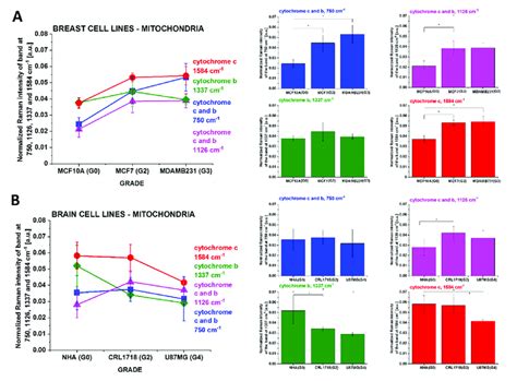 The Raman Intensities Of Cytochrome C And Cytochrome B In Mitochondria Download Scientific