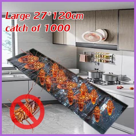 Catch 1000 In One Piece Roach Traps Roach Insect Trap Killer Bait