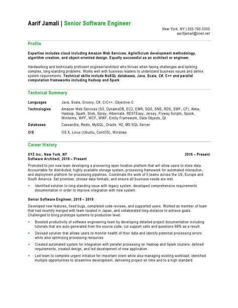 Software Developer Resume Sample Blue Sky Resumes