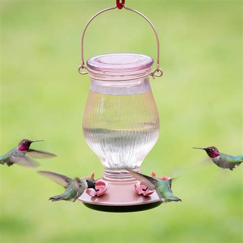 10 Best Hummingbird Feeders For Your Yard In 2025