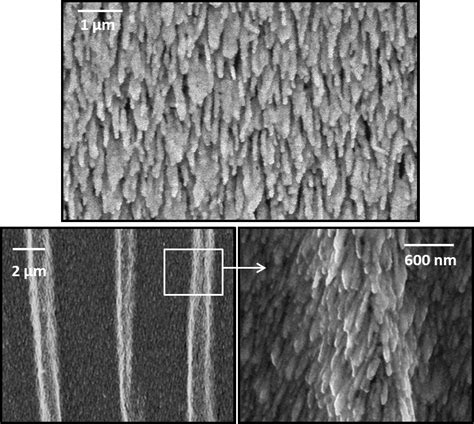 Figure S1 A Sem Image Of The Ag Nanorods Arrays Grown Over Pdms