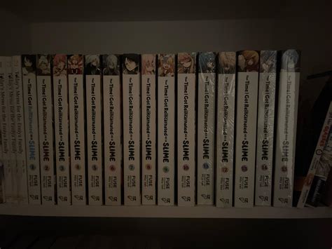 I Require Assistance R Tenseislime