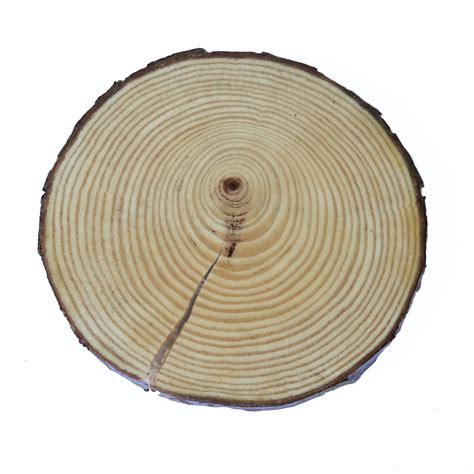 Tree Of Life Crystal Grid Art By Gabrielle