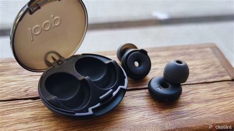Loop Switch Earplugs Review My Concert Must Have