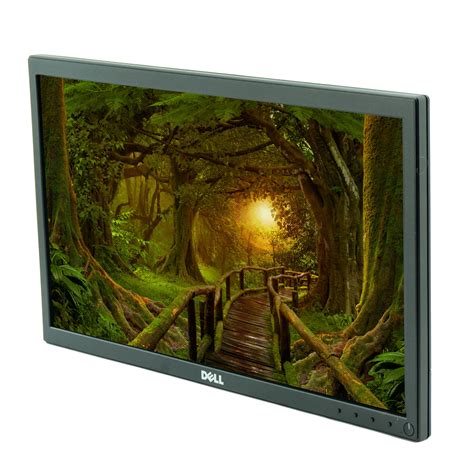 Dell P2017H 20" LED LCD Widescreen Monitor - New