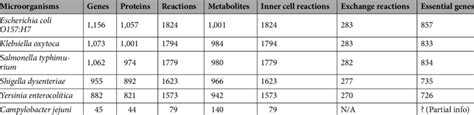 Metabolic Network Reconstruction Gemsirv And Simulation Cobra Of Download Scientific