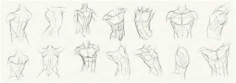 Female Torso Poses By Courtneysconcepts On Deviantart Artofit