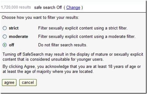 Bing Adds Filter To Its Search For Adult Images And Videos