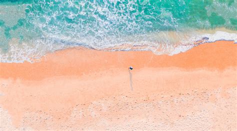 Gimp The Power Of The Plugins