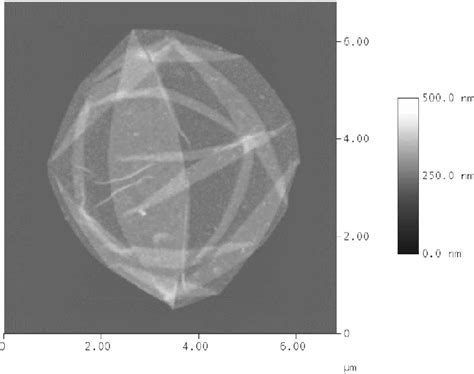 Figure 1 From Microstructuring Of Polyelectrolyte Coated Surfaces For