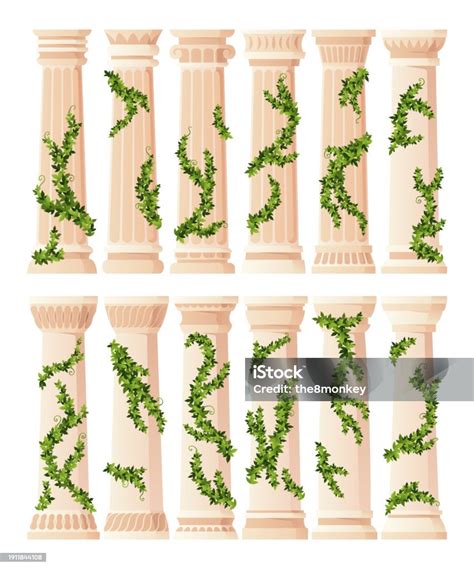 고 대 담쟁이덩굴로 덮인 기둥 세트입니다 박물관 및 전시회 담쟁이덩굴 가지를 등반하는 만화 그리스 또는 로마 기둥 앤티크 단풍 장식 요소 만화 평면 벡터 절연 통하고 있는