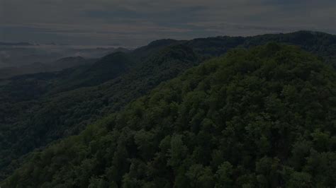 Andre Marais Posted On Linkedin