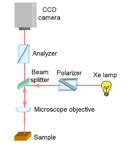 7 Schematic View Of Optical Polarizing Microscope For The Magnetic Download Scientific Diagram