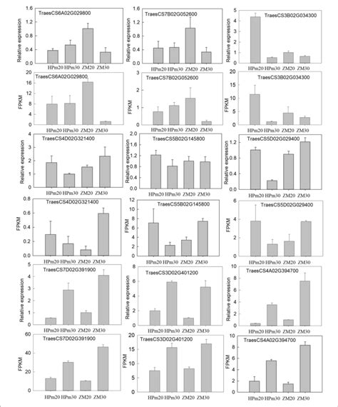 Validation Of The Expression Patterns Of Nine Representative Degs