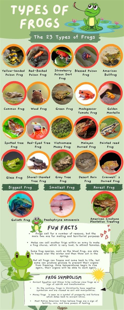 Frog Species Artofit