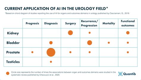 Ai In Urology Recent Developments In Prostate Cancer Diagnosis