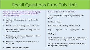 Body Systems Revision KS Year By Troilo Science TPT