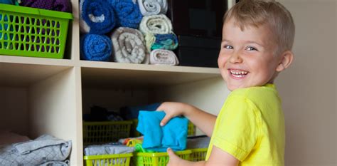 Storage Tips Tricks Premier Box