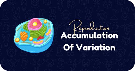 Accumulation Of Variations During Reproduction An Overview Myncertguide